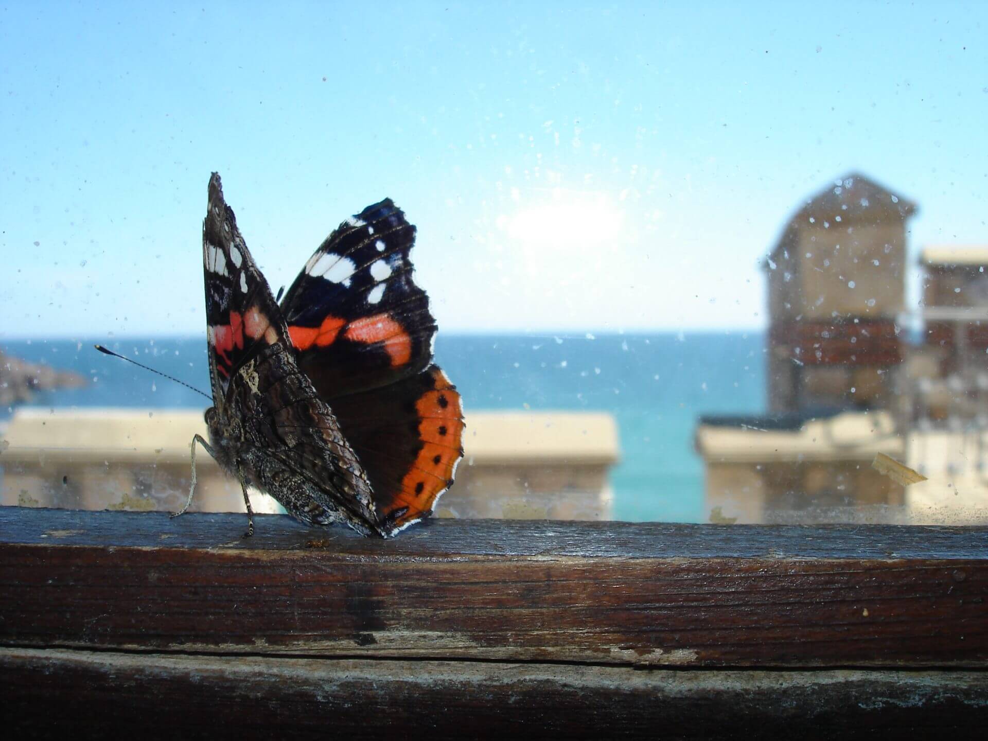 Beriberi Definition (Thiamine Deficiency)- Beriberi Pictures and Images