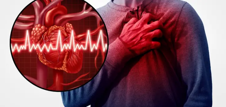 Different Types of Heart Stents | Healing Heart Disease Naturally (HHDN)