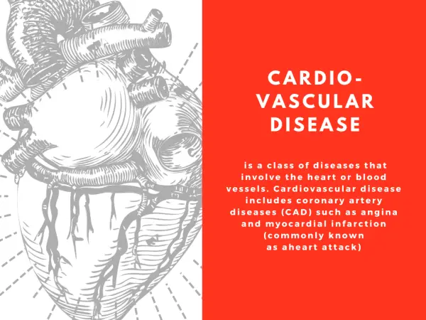 Widowmaker Heart Attack Facts | Healing Heart Disease Naturally (HHDN)