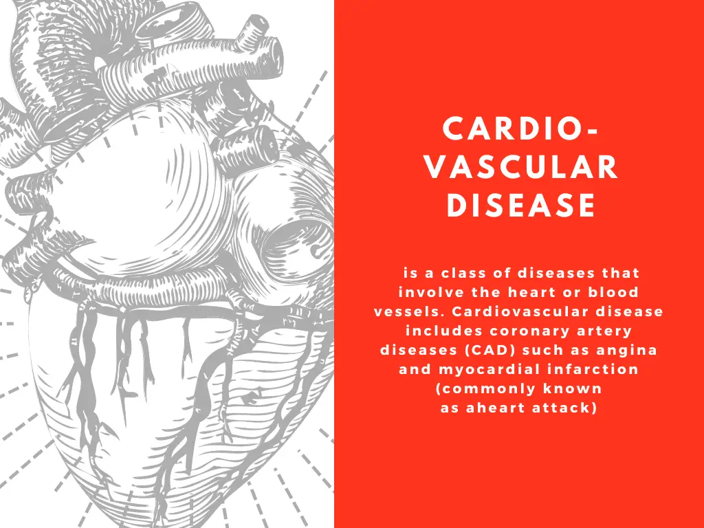Widowmaker Heart Attack Facts | Healing Heart Disease Naturally (HHDN)